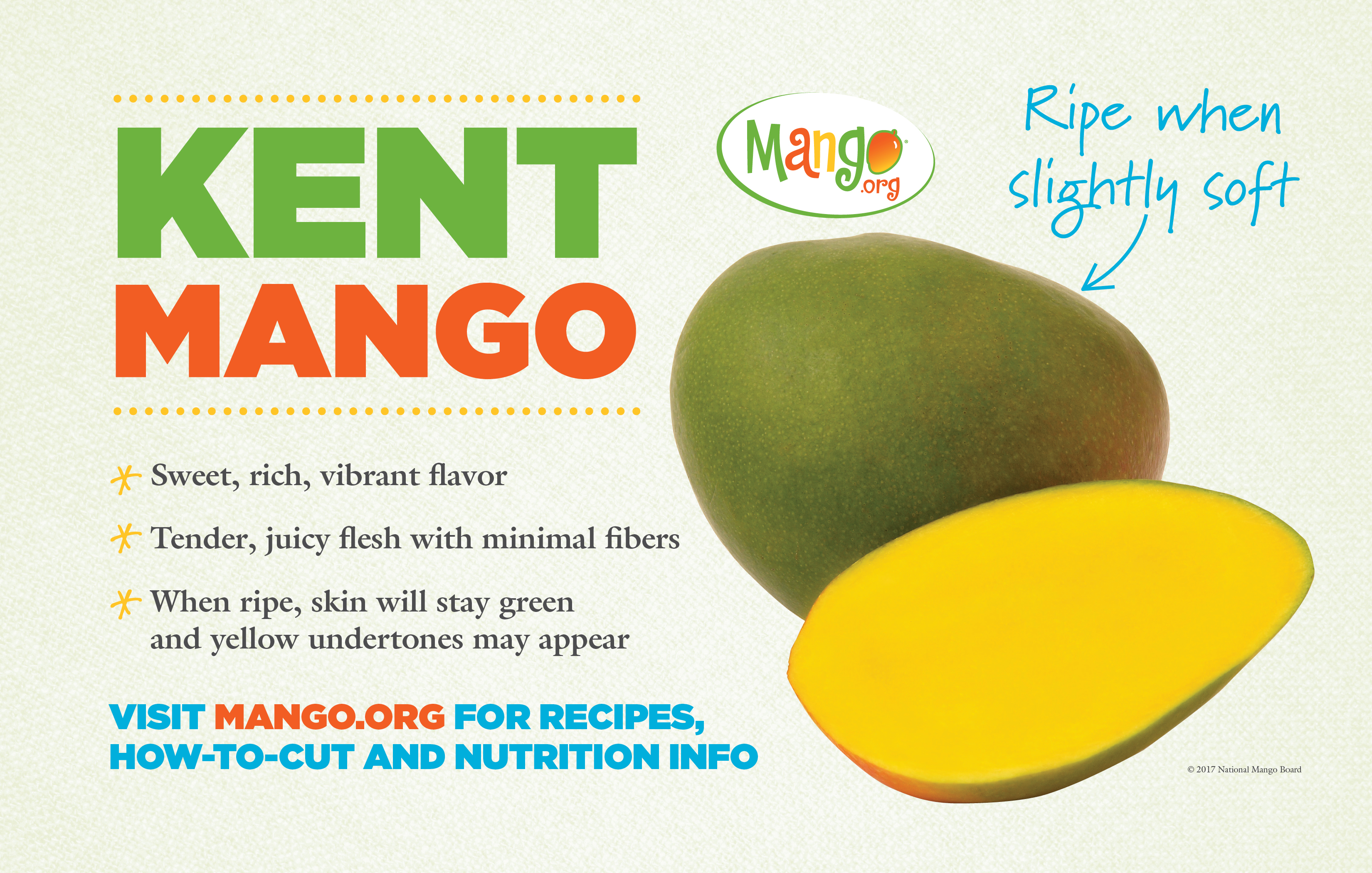 Retail | mango | Mango.org
